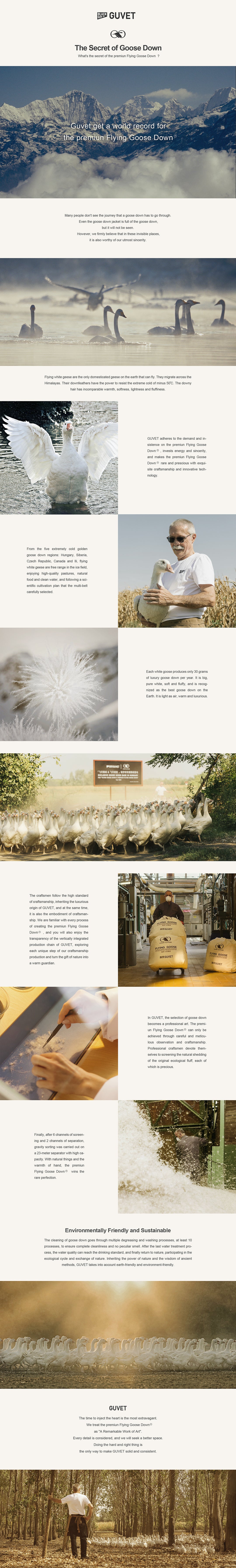 Flying Goose Down – GUVET